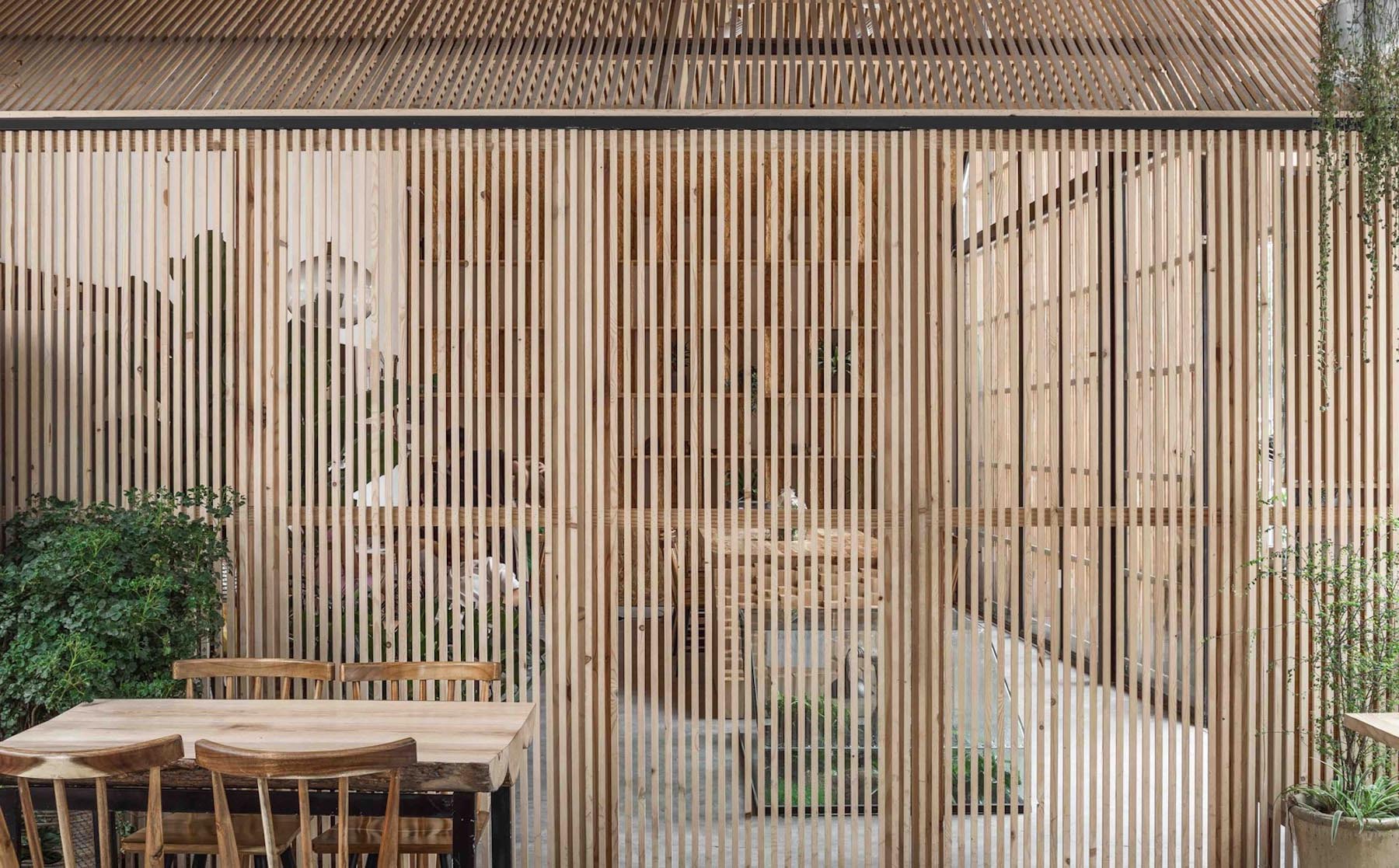 Tropical Forest By Tayone Design Studio - IGNANT