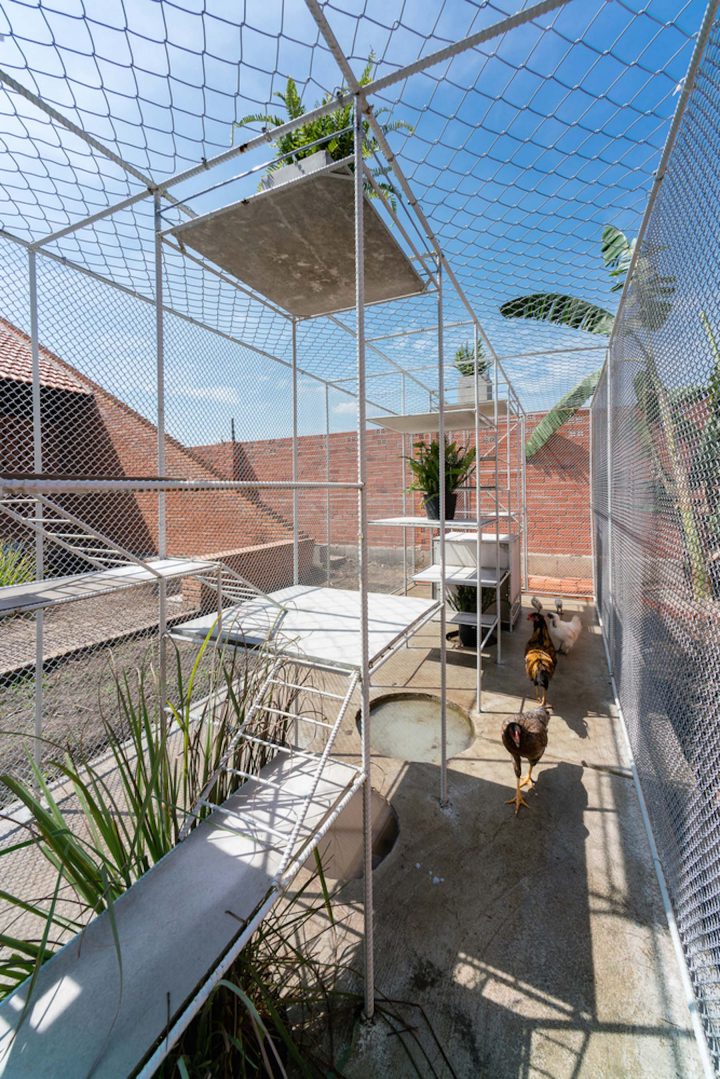 Free As A Bird: Tropical Space Designs A Chicken's House - IGNANT