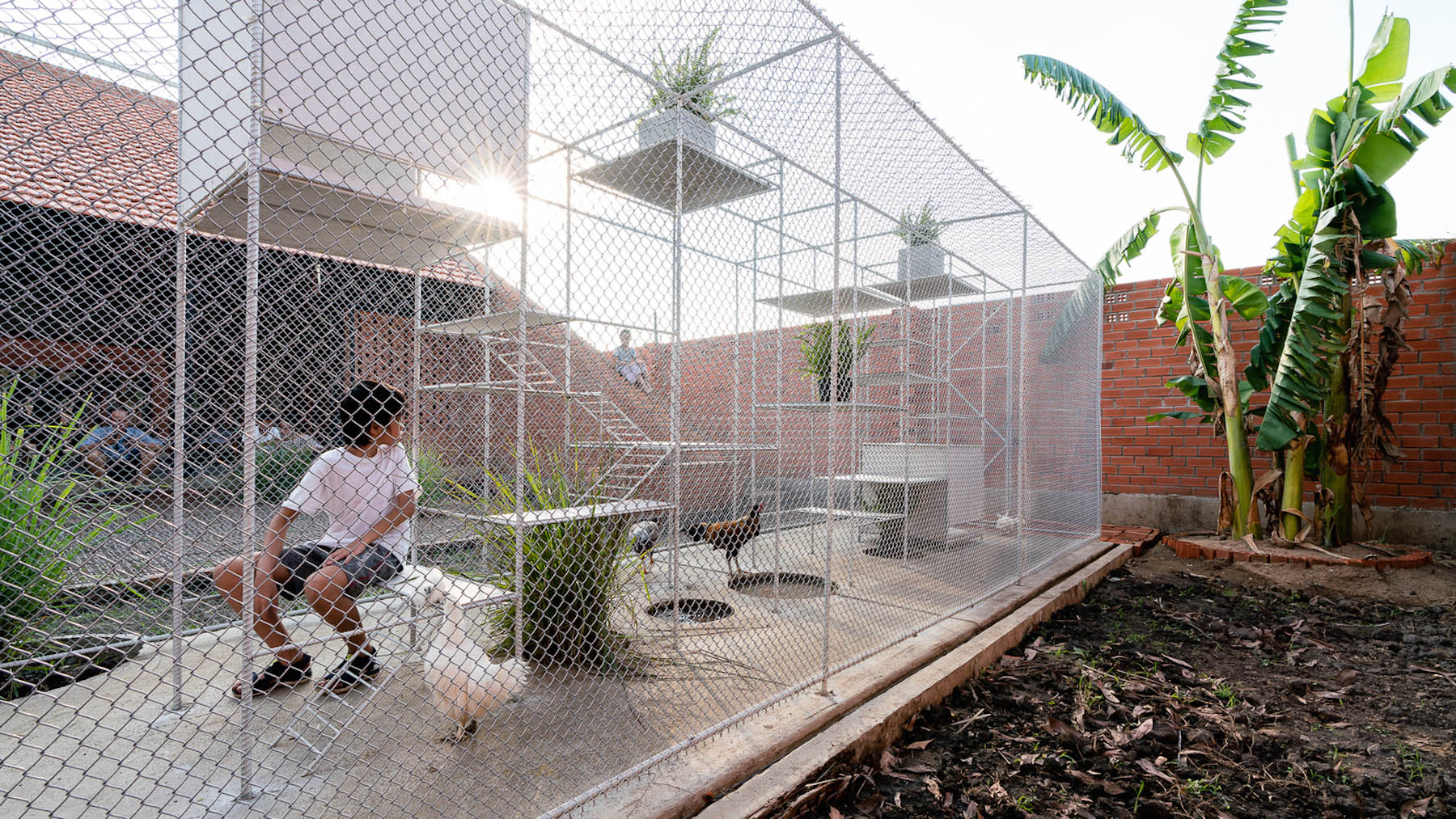 Free As A Bird: Tropical Space Designs A Chicken's House - IGNANT