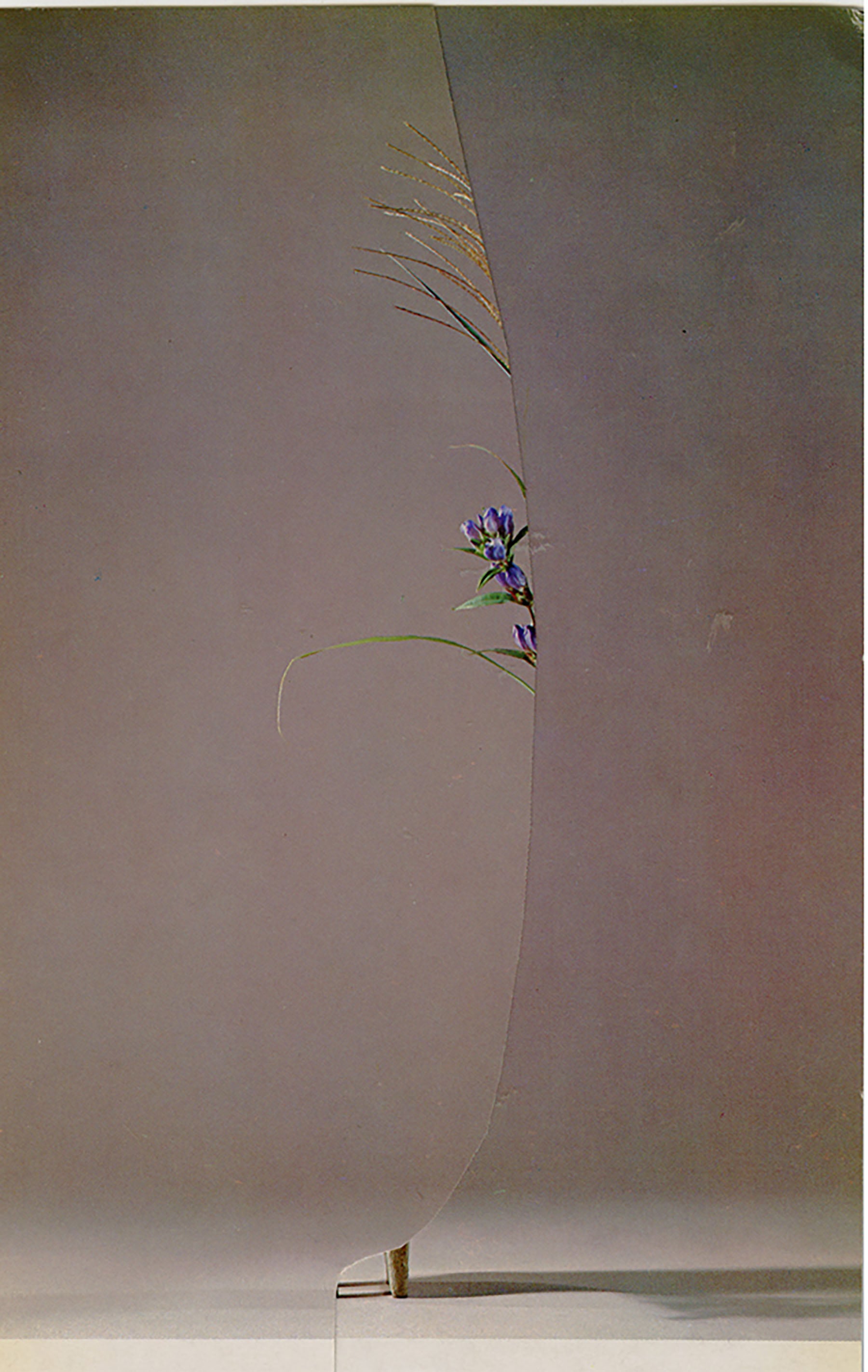 Nicola Kloosterman Reimagines Traditional Ikebana - IGNANT