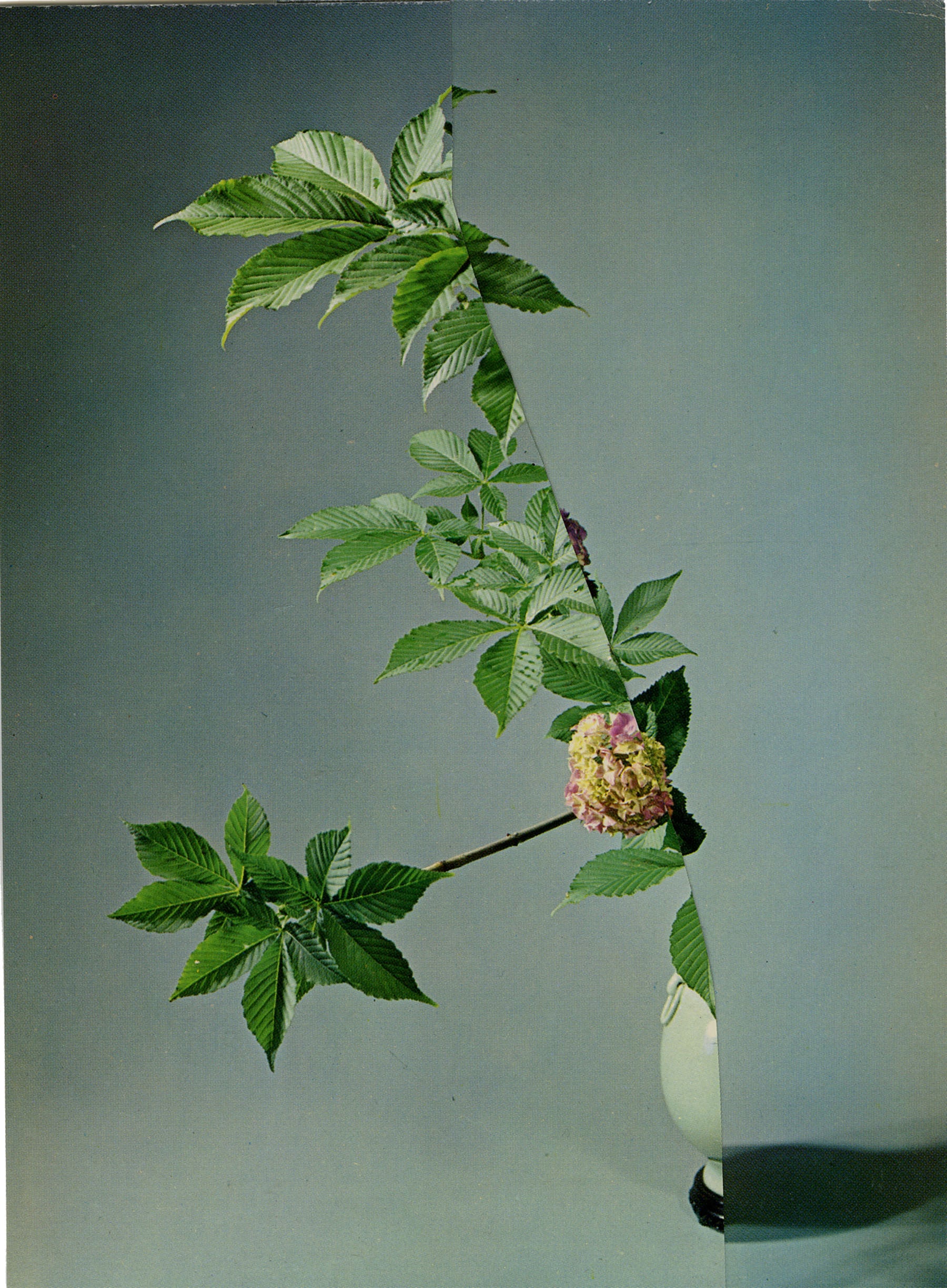 Nicola Kloosterman Reimagines Traditional Ikebana - IGNANT