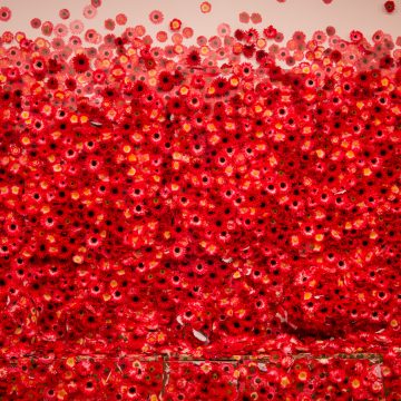 Yayoi Kusama In Bloom - IGNANT