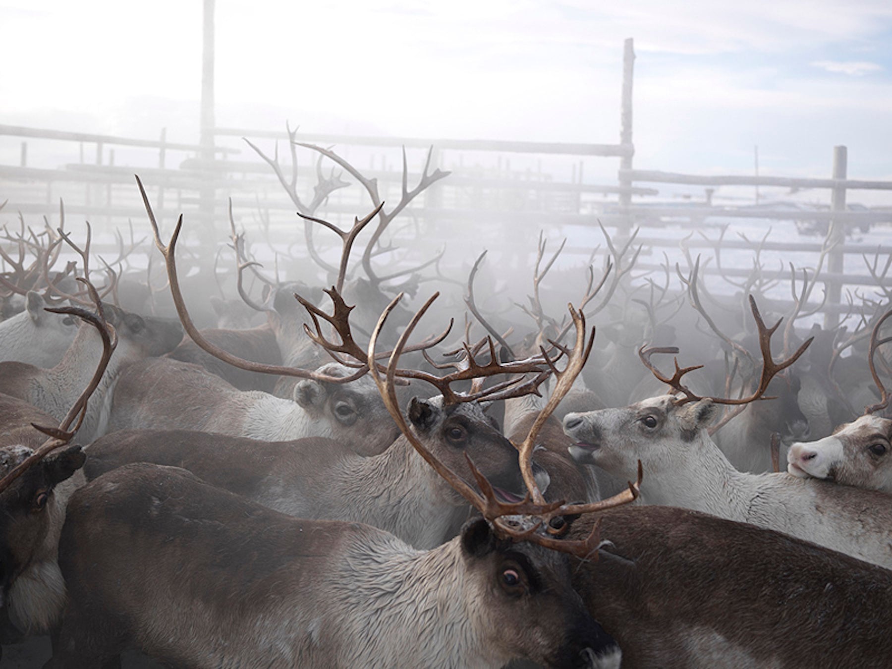 The House On Ancaster Creek By Williamson Williamson - IGNANT