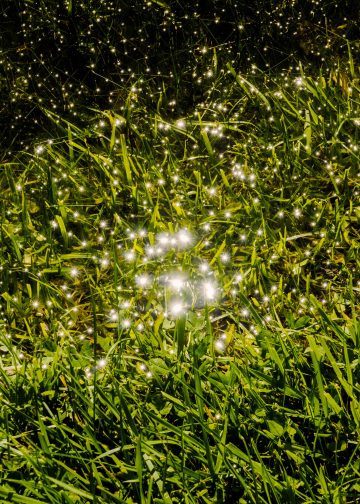 Finding Cosmic Coherence In Mike Slack's Universe - IGNANT