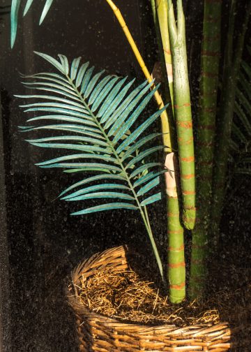 Finding Cosmic Coherence In Mike Slack's Universe - IGNANT