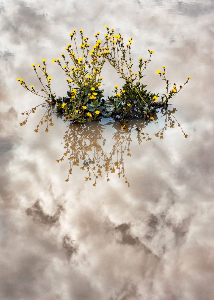 Finding Cosmic Coherence In Mike Slack's Universe - IGNANT