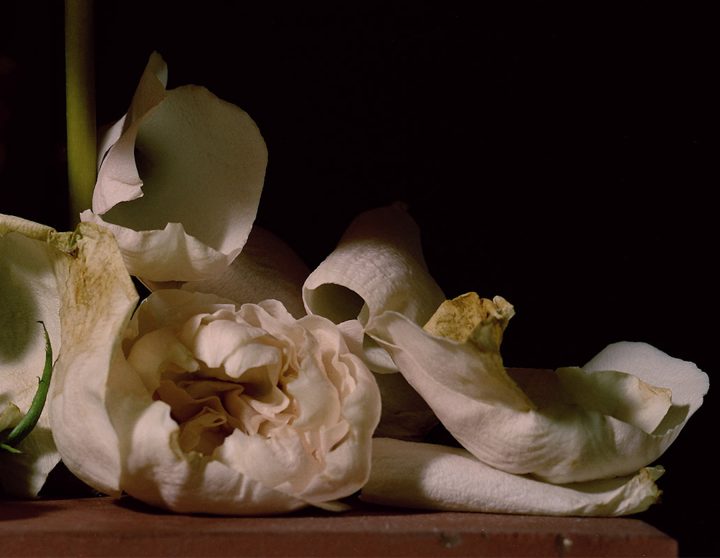 Enter New Dimensions With Robin Stein’s Photos - IGNANT