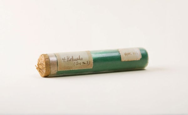 The World's Rarest Colors - IGNANT