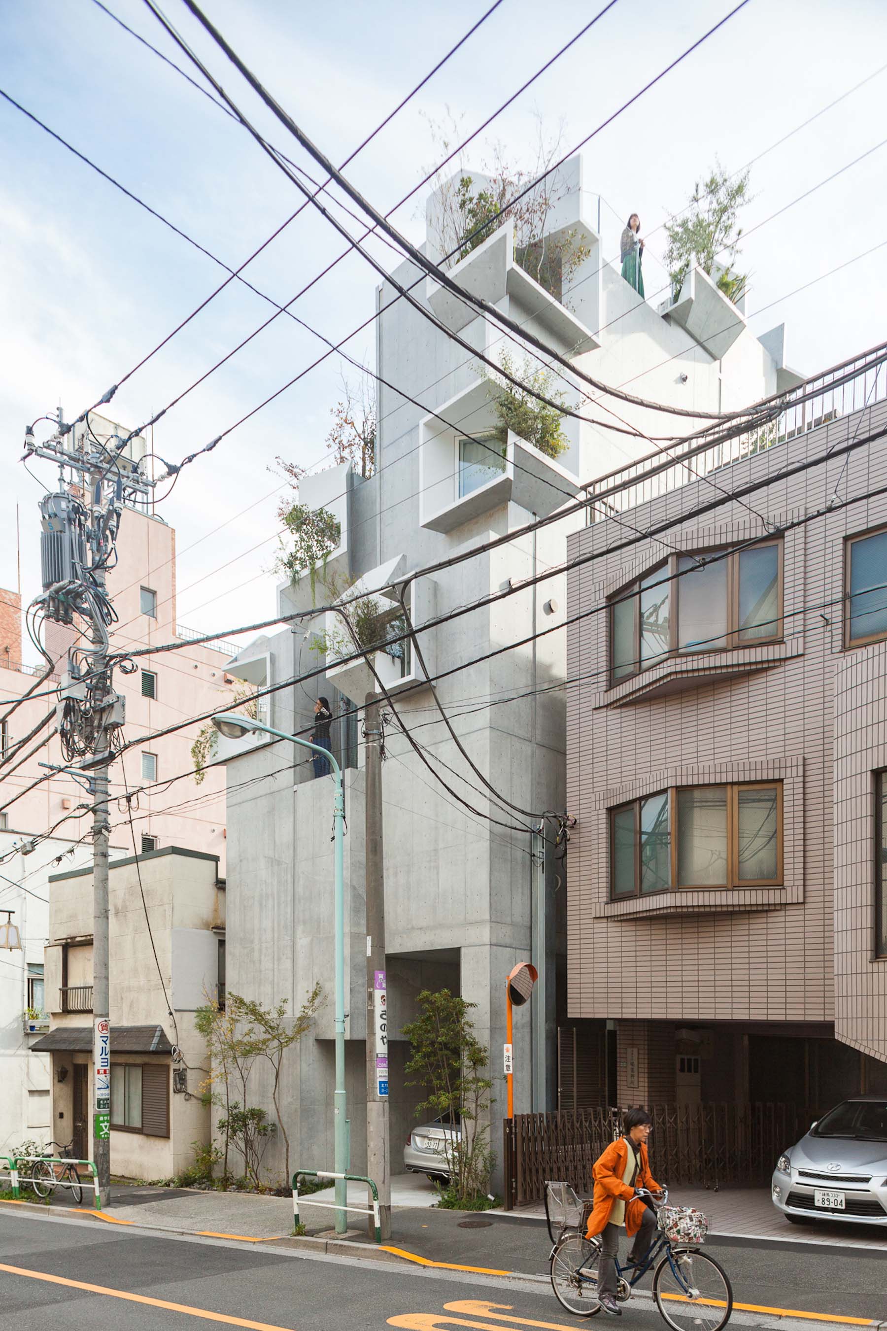 A Tangled Residential Complex: Akihisa Hirata's Tree-Ness House - IGNANT