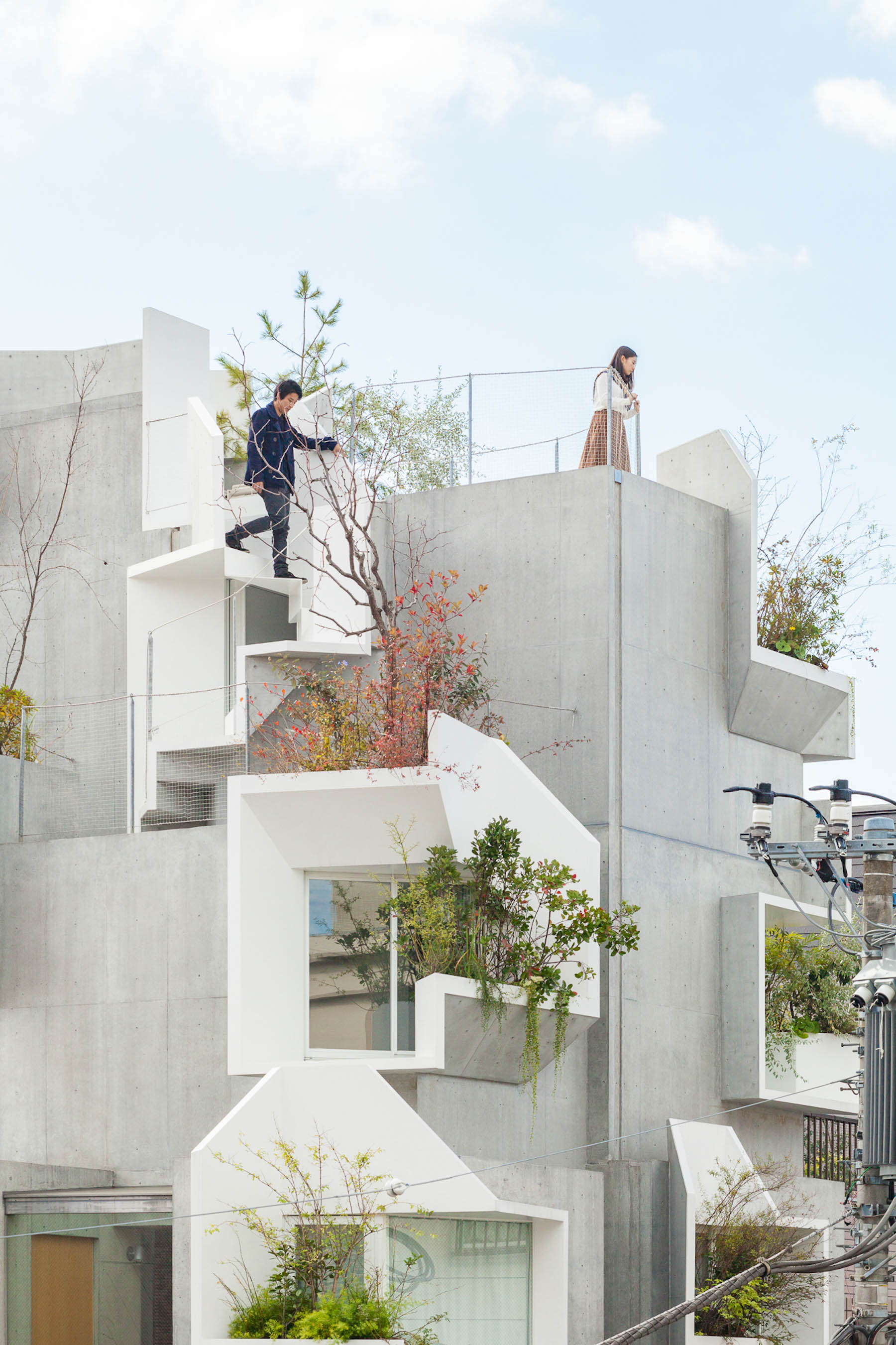 A Tangled Residential Complex: Akihisa Hirata's Tree-Ness House - IGNANT