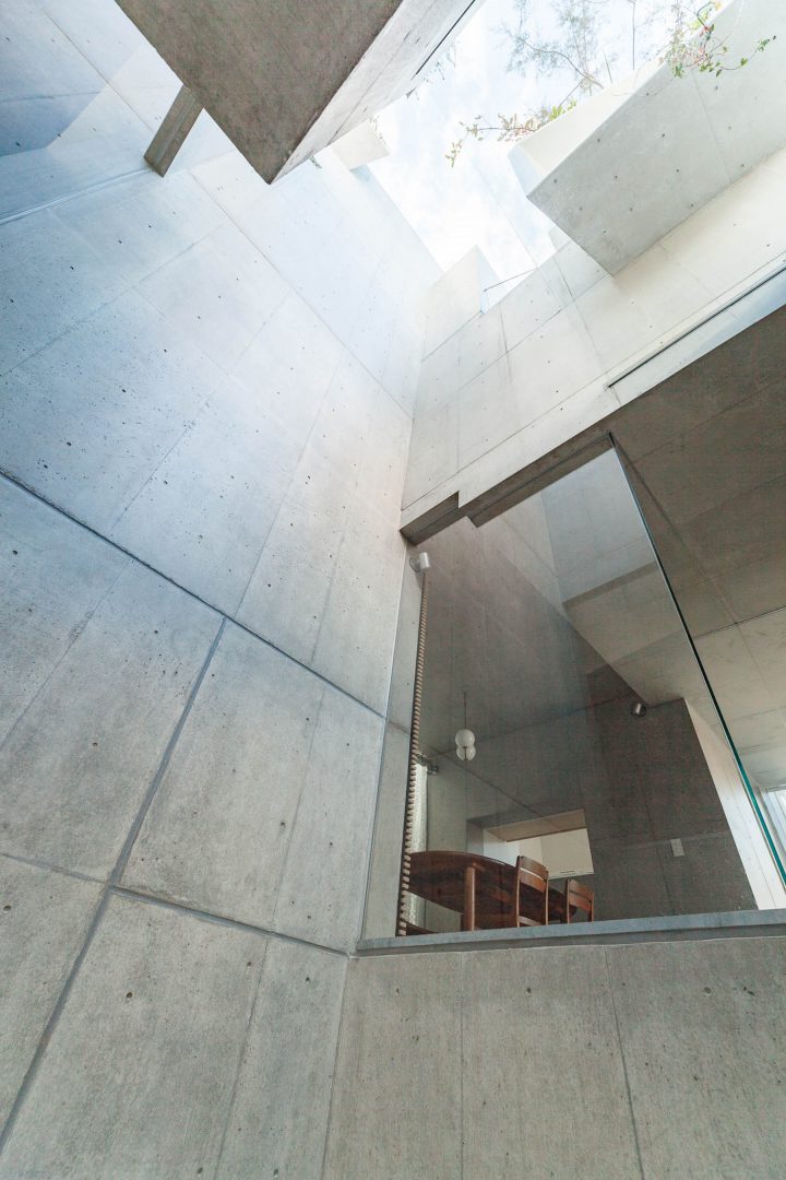 A Tangled Residential Complex: Akihisa Hirata's Tree-Ness House - IGNANT