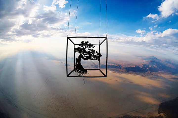 Exobiotanica Takes Flowers To Space - IGNANT