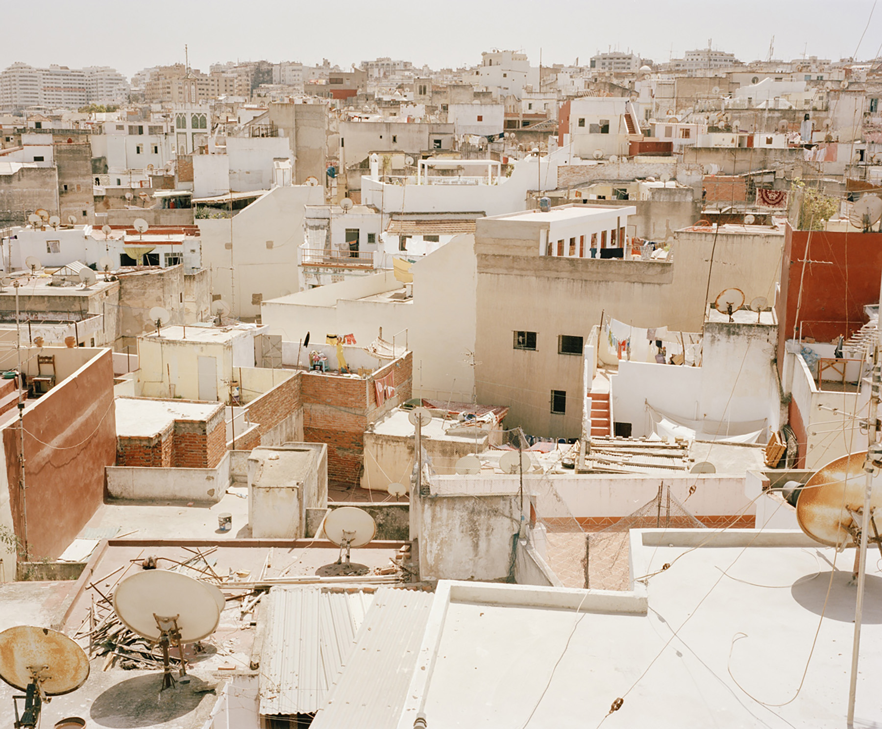 Cait Oppermann Archives - IGNANT