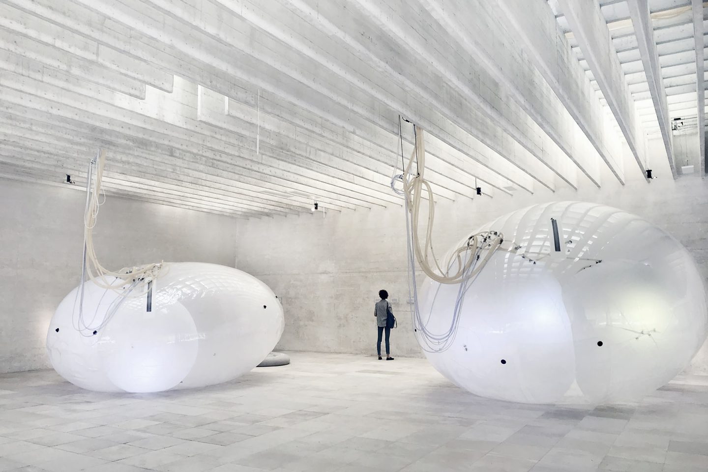 Inside The Pavilions At This Year's Venice Architecture Biennale - IGNANT