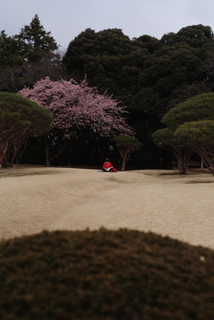 An Exploration Of Self And Solitude In Japan - IGNANT