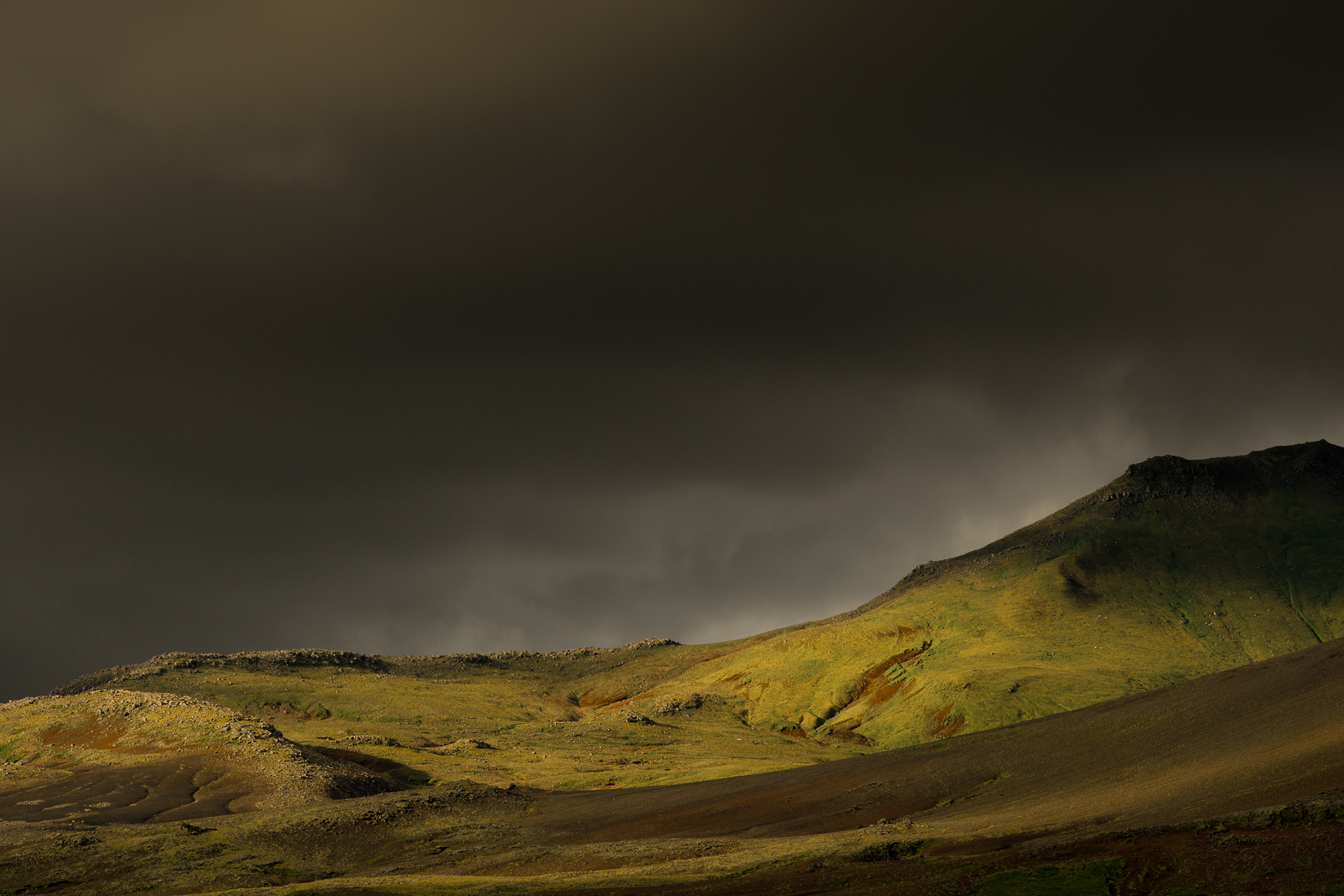 Chasing Light Photography