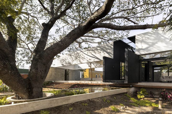 A Modernist Mexican Tree House By AS Arquitectura - IGNANT