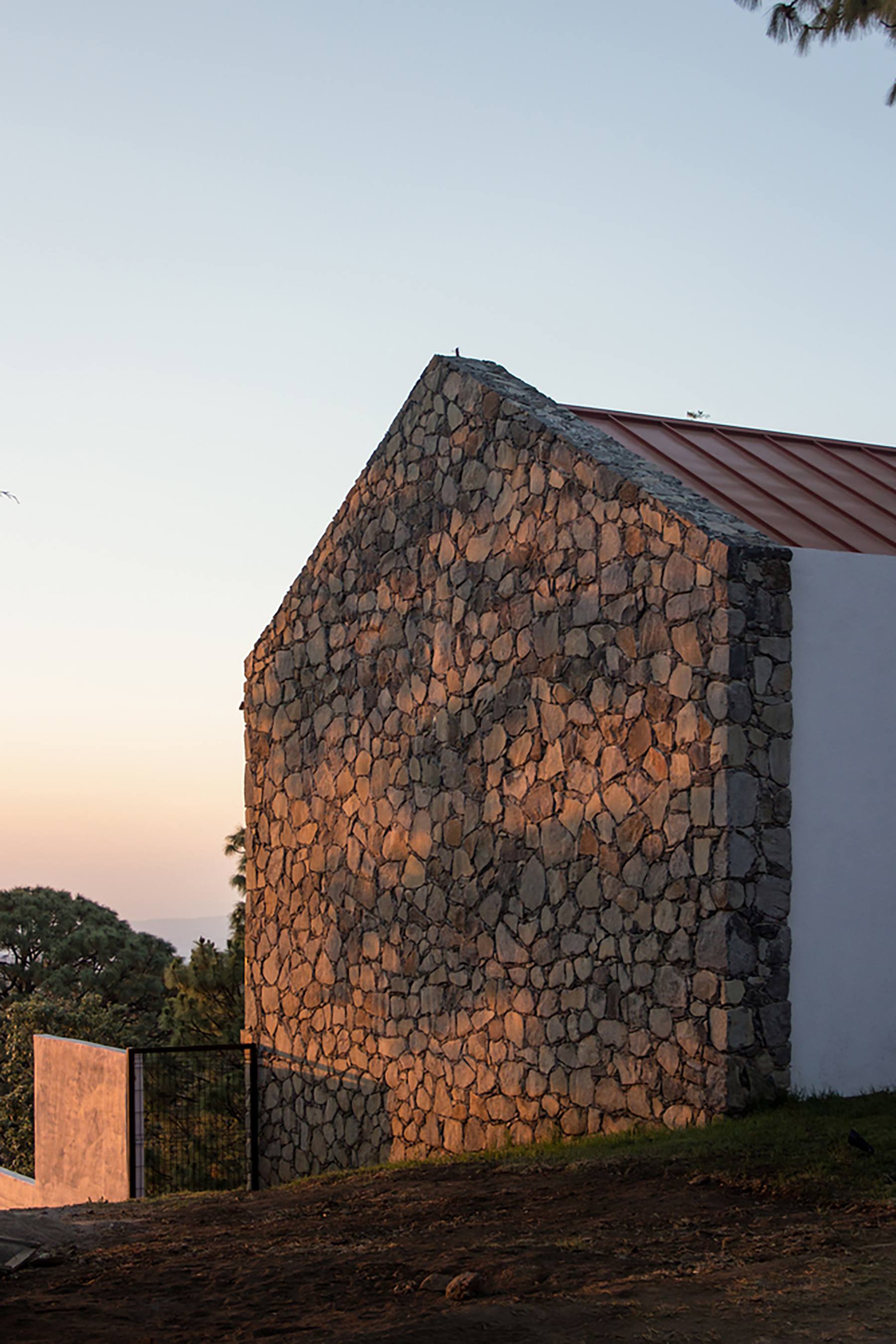 EMA Designs A Home Around A Tree In Mexico - IGNANT