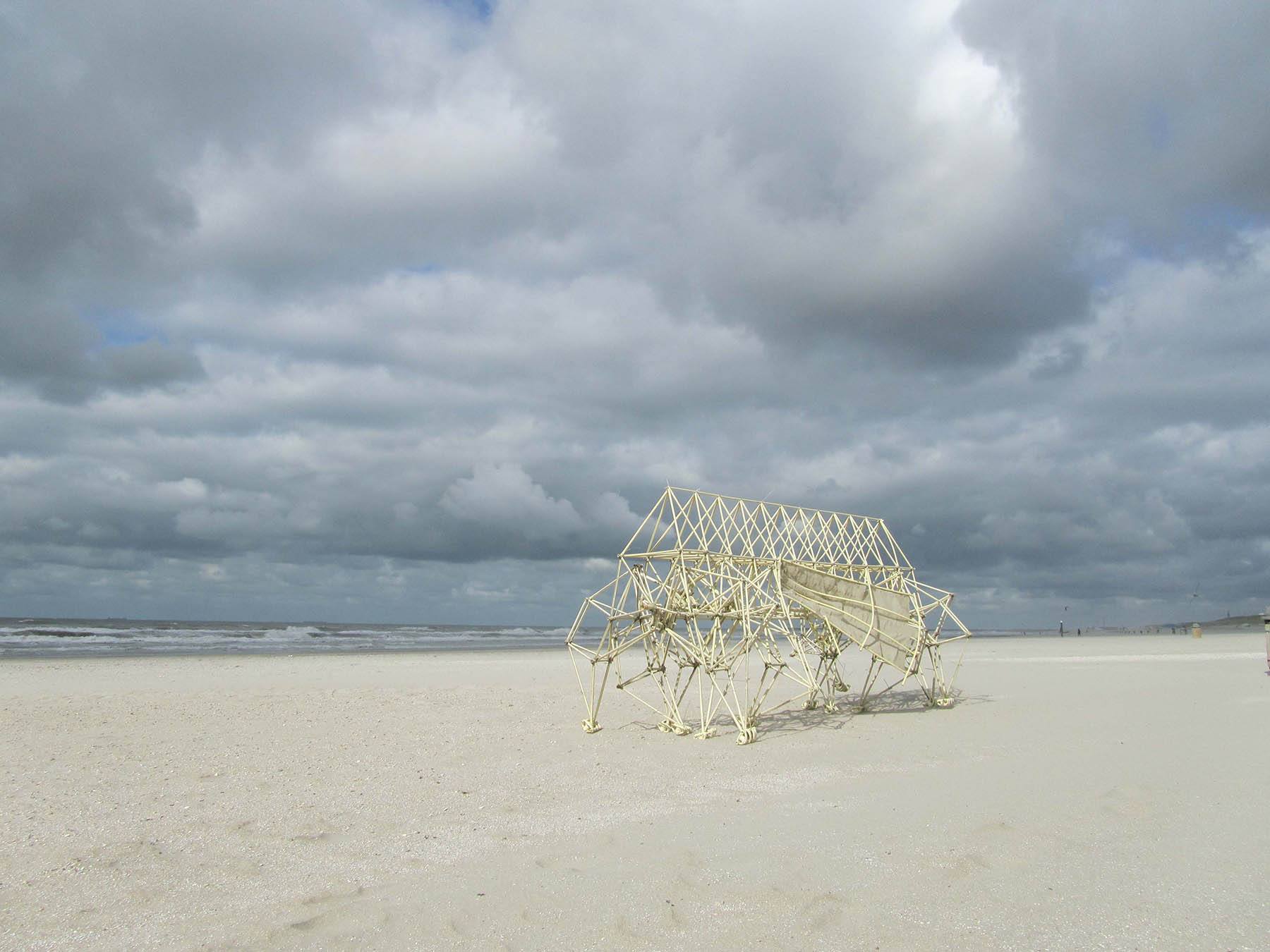 Walking Strandbeests By Theo Jansen - IGNANT