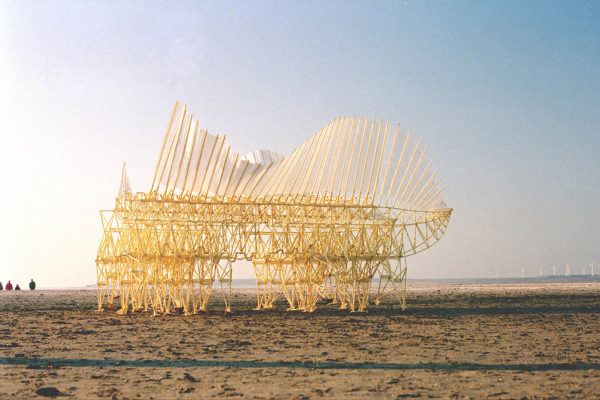 Walking Strandbeests By Theo Jansen - IGNANT