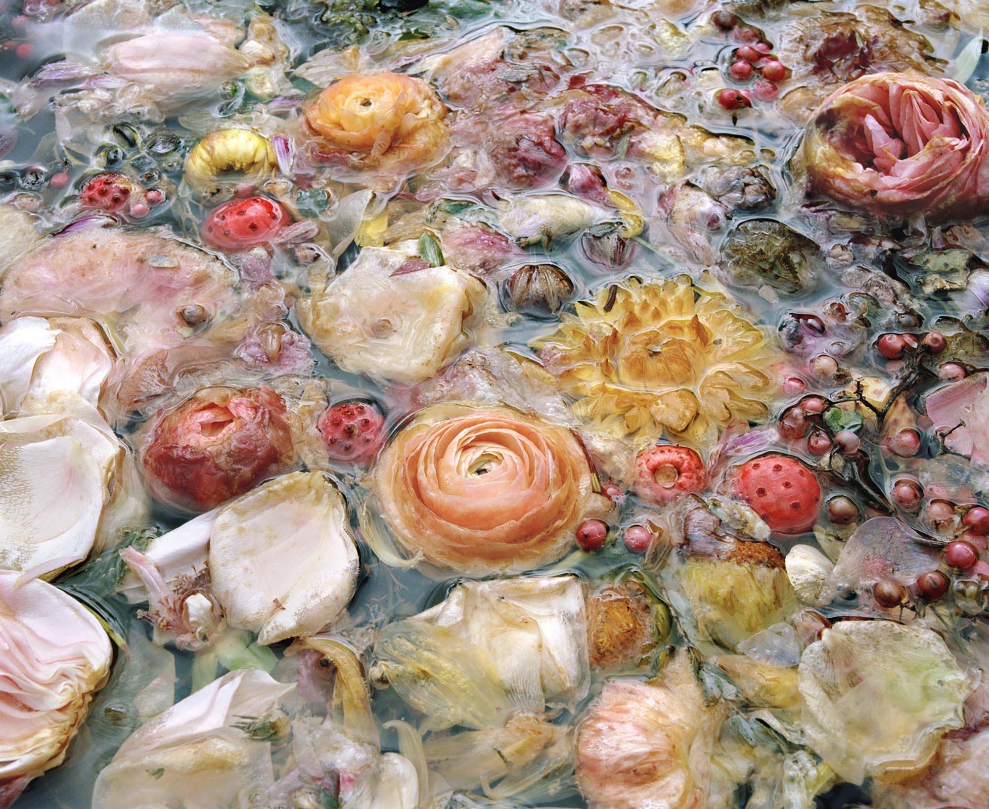 Jocelyn Lee Captures The Appearance Of Things - IGNANT