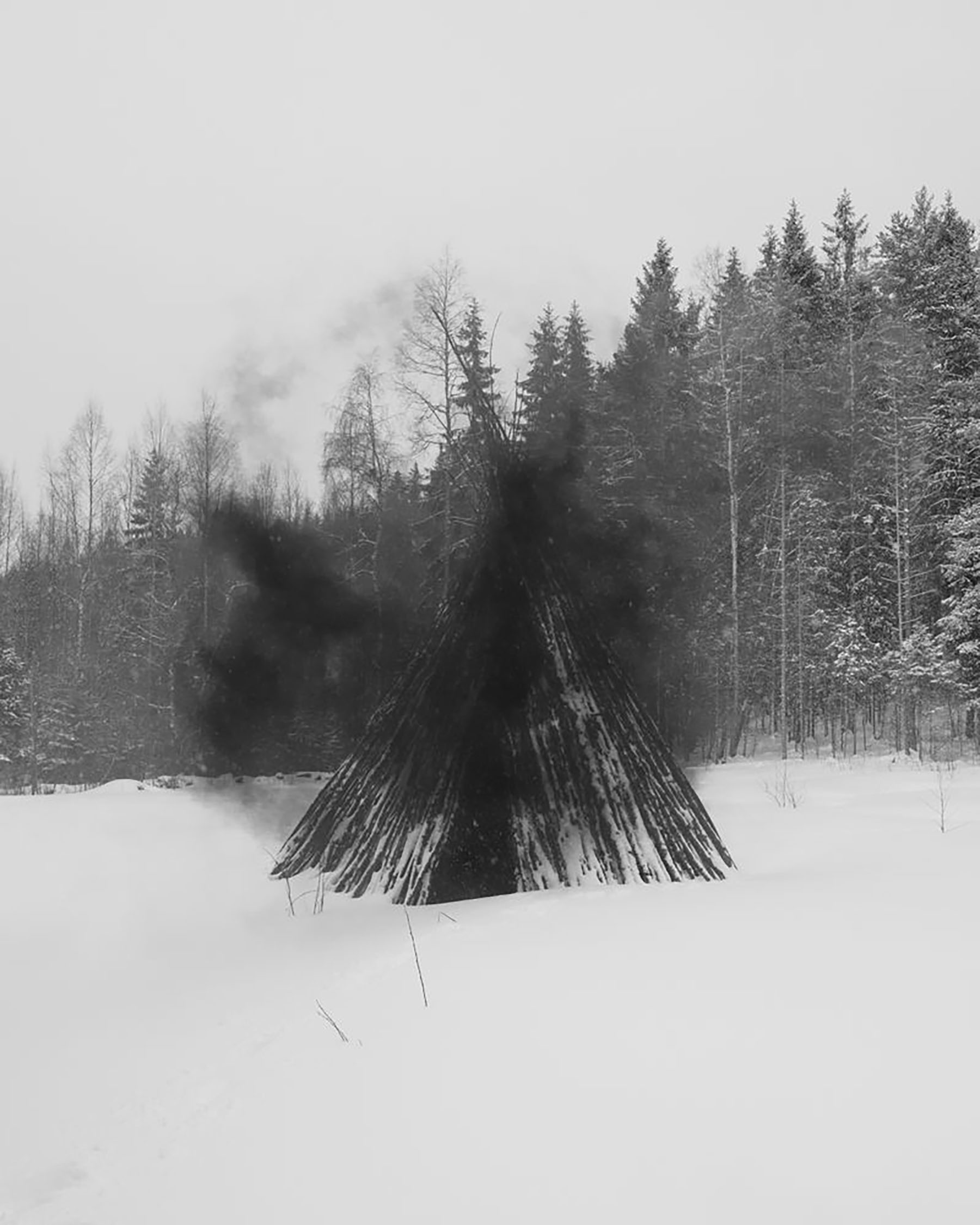 Razing A Forest: Terje Abusdal's Slash And Burn - IGNANT