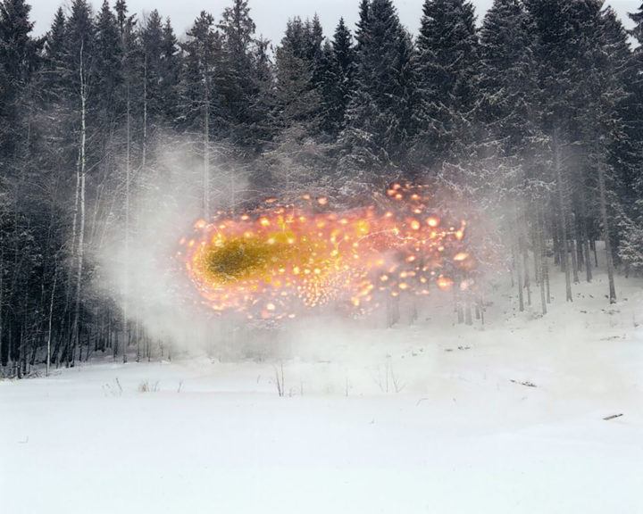 Razing A Forest: Terje Abusdal's Slash And Burn - IGNANT