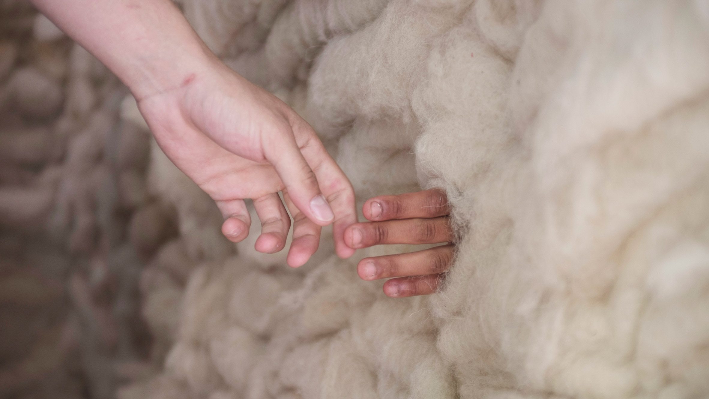 AUW Designs A Woolen Pavilion In Western Hungary - IGNANT