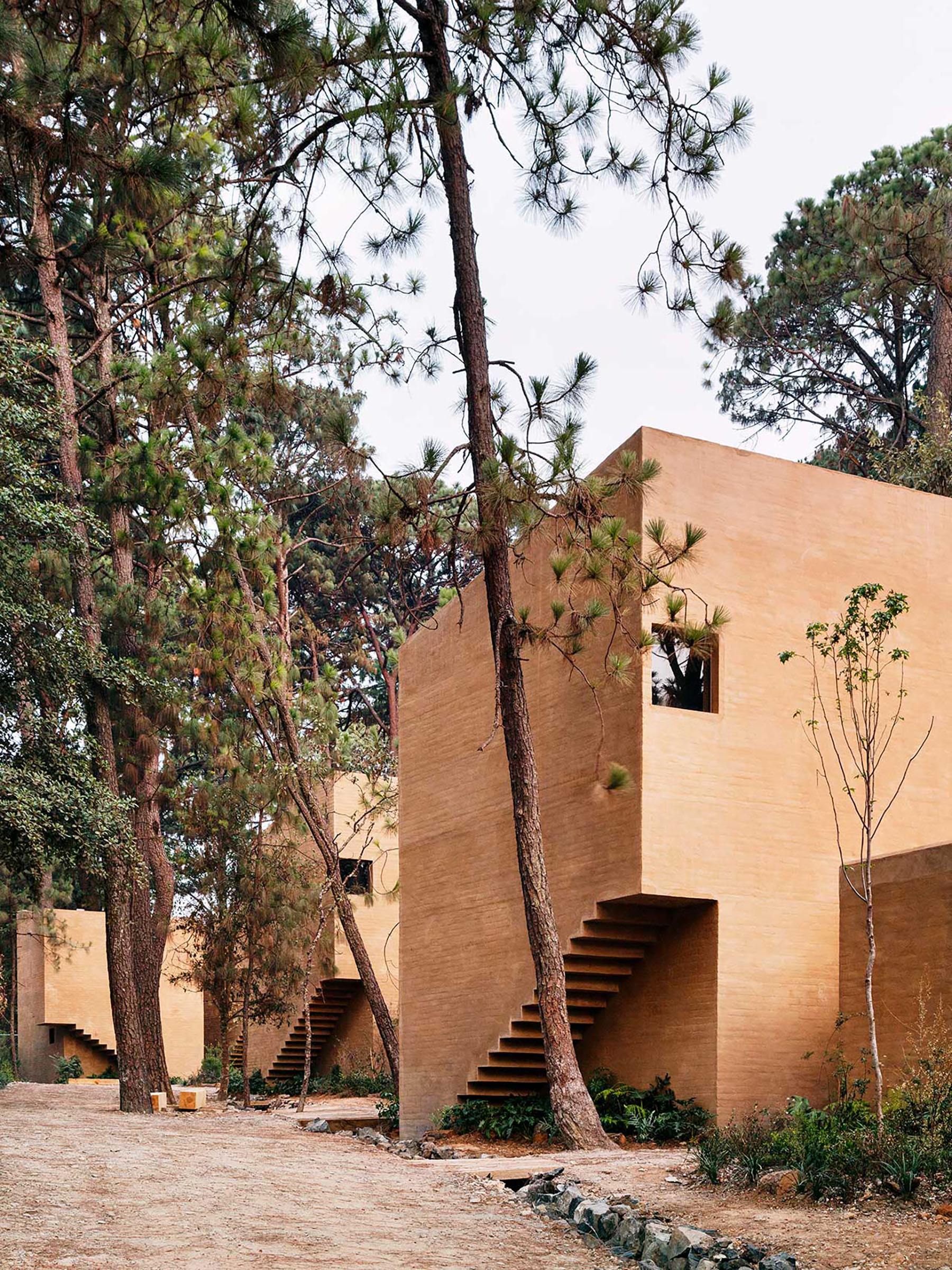 Taller Hector Barroso Designs Homes Amongst The Pines In Mexico - IGNANT
