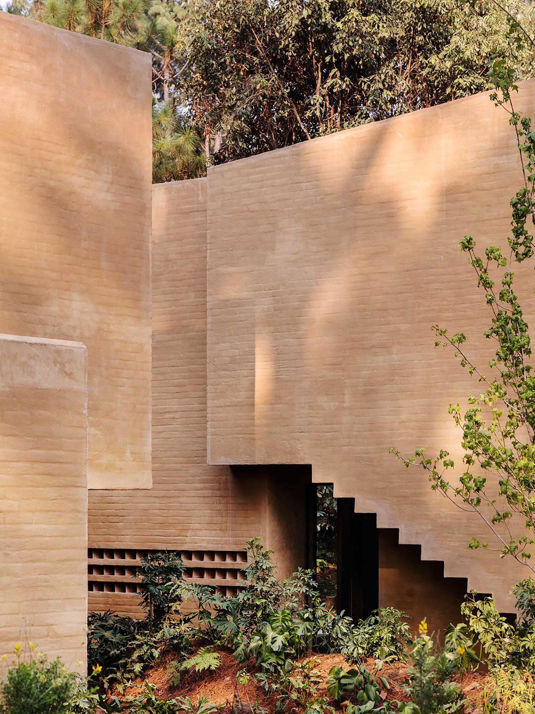 Taller Hector Barroso Designs Homes Amongst The Pines In Mexico - IGNANT