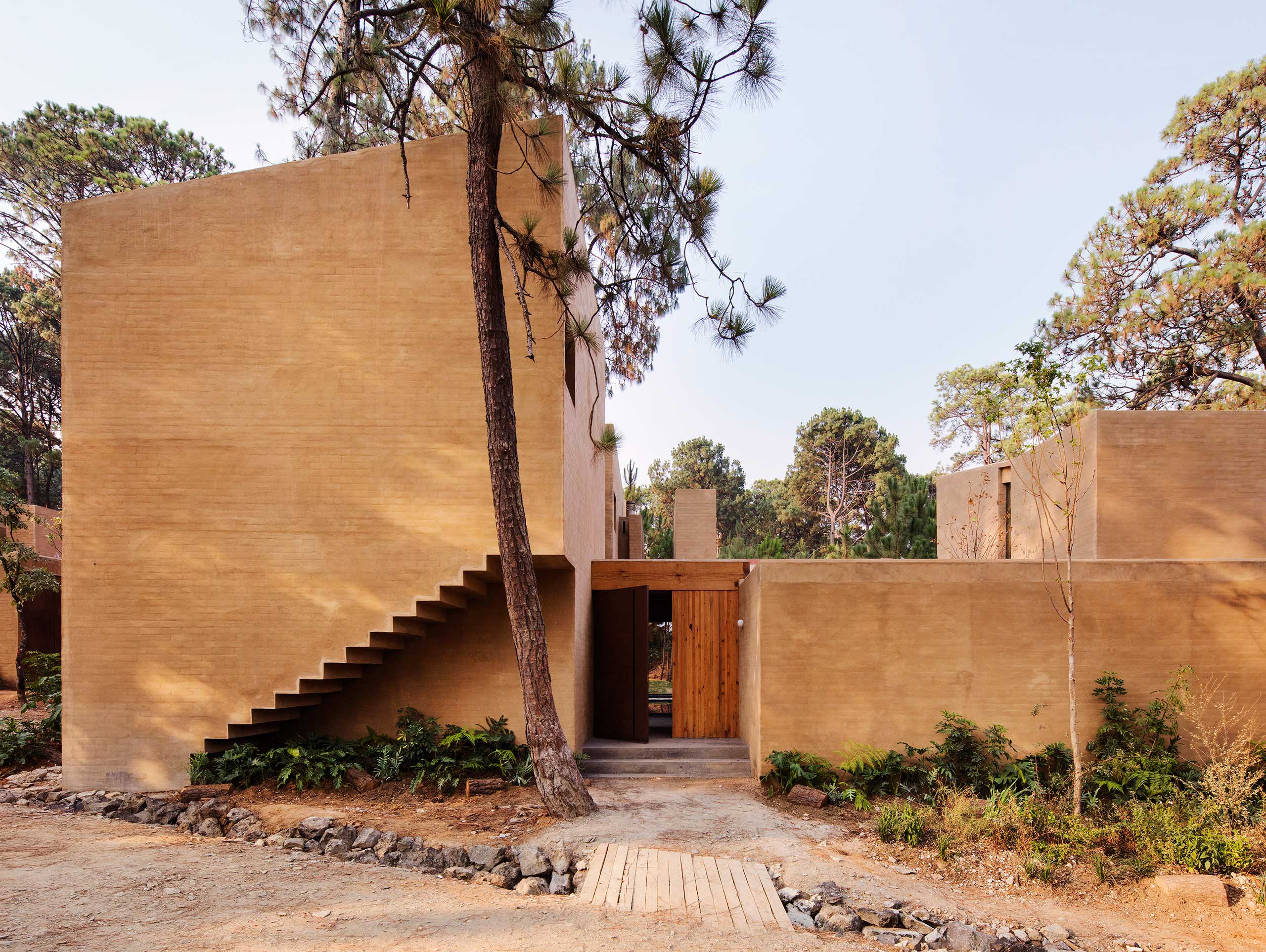Taller Hector Barroso Designs Homes Amongst The Pines In Mexico - IGNANT