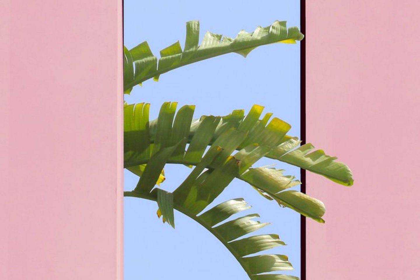 Magical Realism By Photographer Collin Pollard - IGNANT