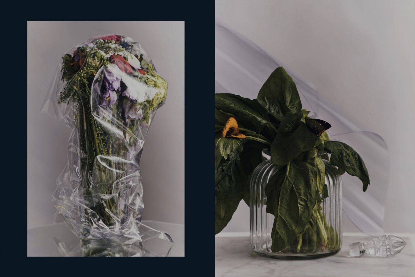 David Abrahams Photographs Shape, Form, And Imperfection - IGNANT