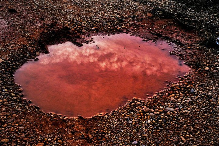 Portraits by Maykel Lima - IGNANT