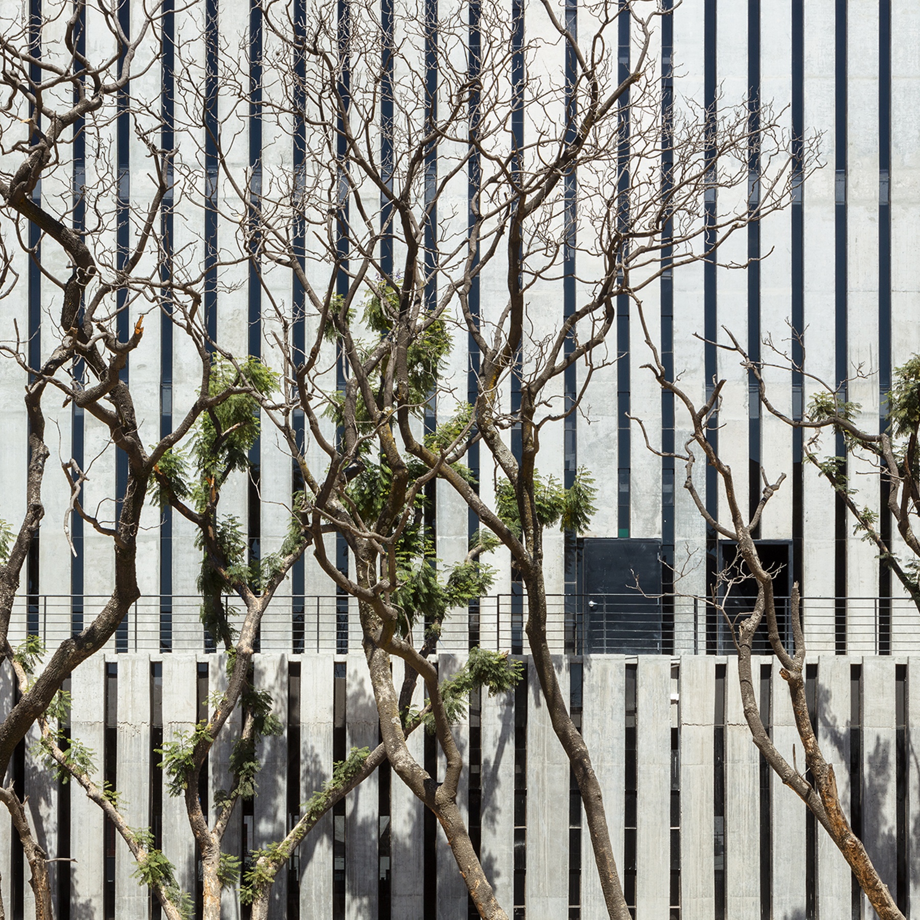 Poetic Renderings Of The Wait, By Six N Five Studio - IGNANT