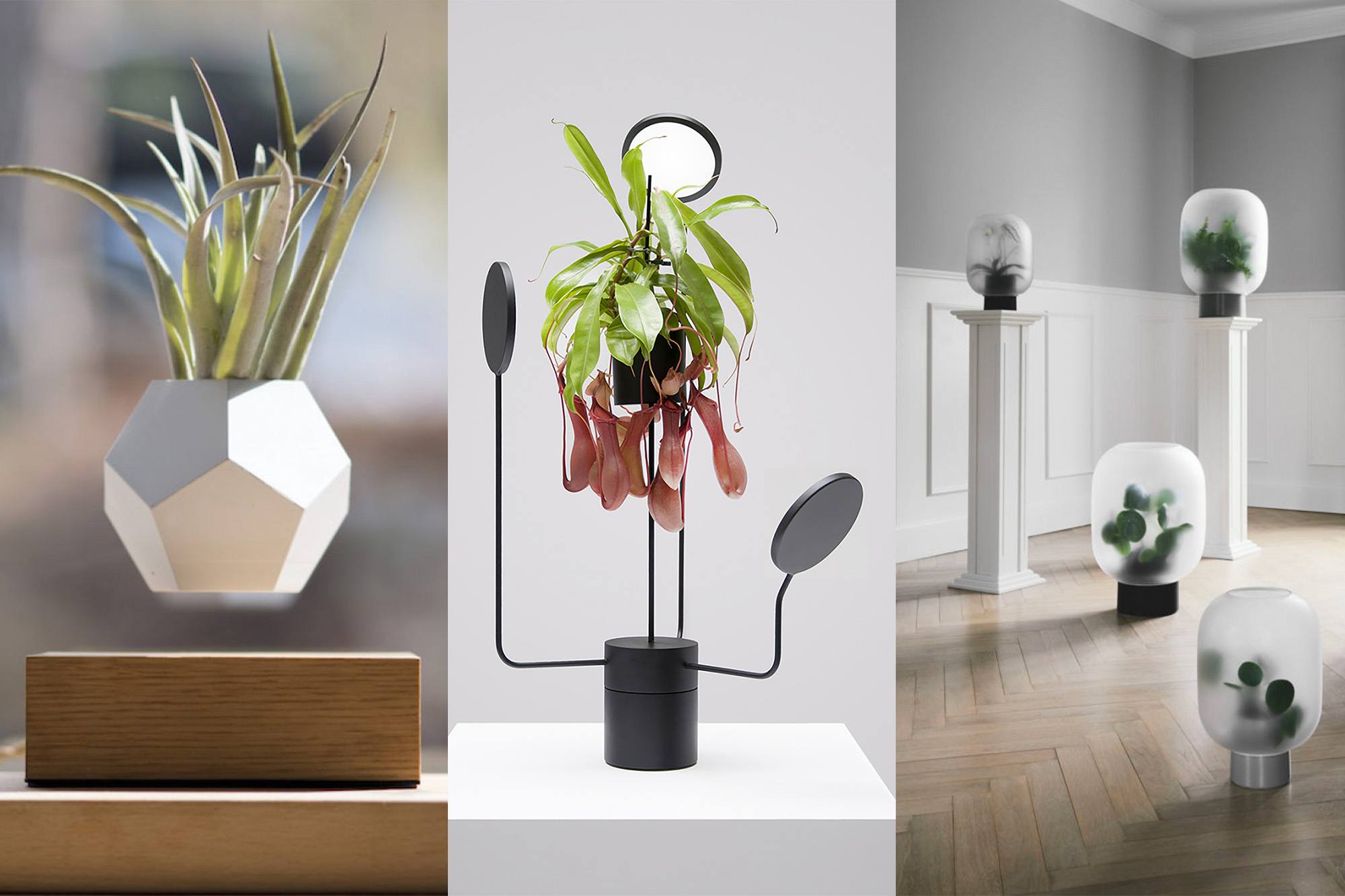 5 Planter Designs Advocating For Greener Interiors - IGNANT