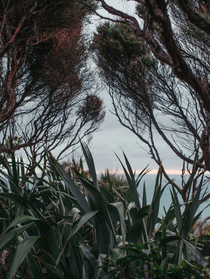 Chiara Zonca Photographs New Zealand’s Other-Wordly Landscapes - IGNANT