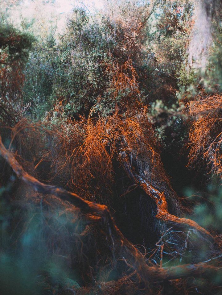 Chiara Zonca Photographs New Zealand’s Other-Wordly Landscapes - IGNANT
