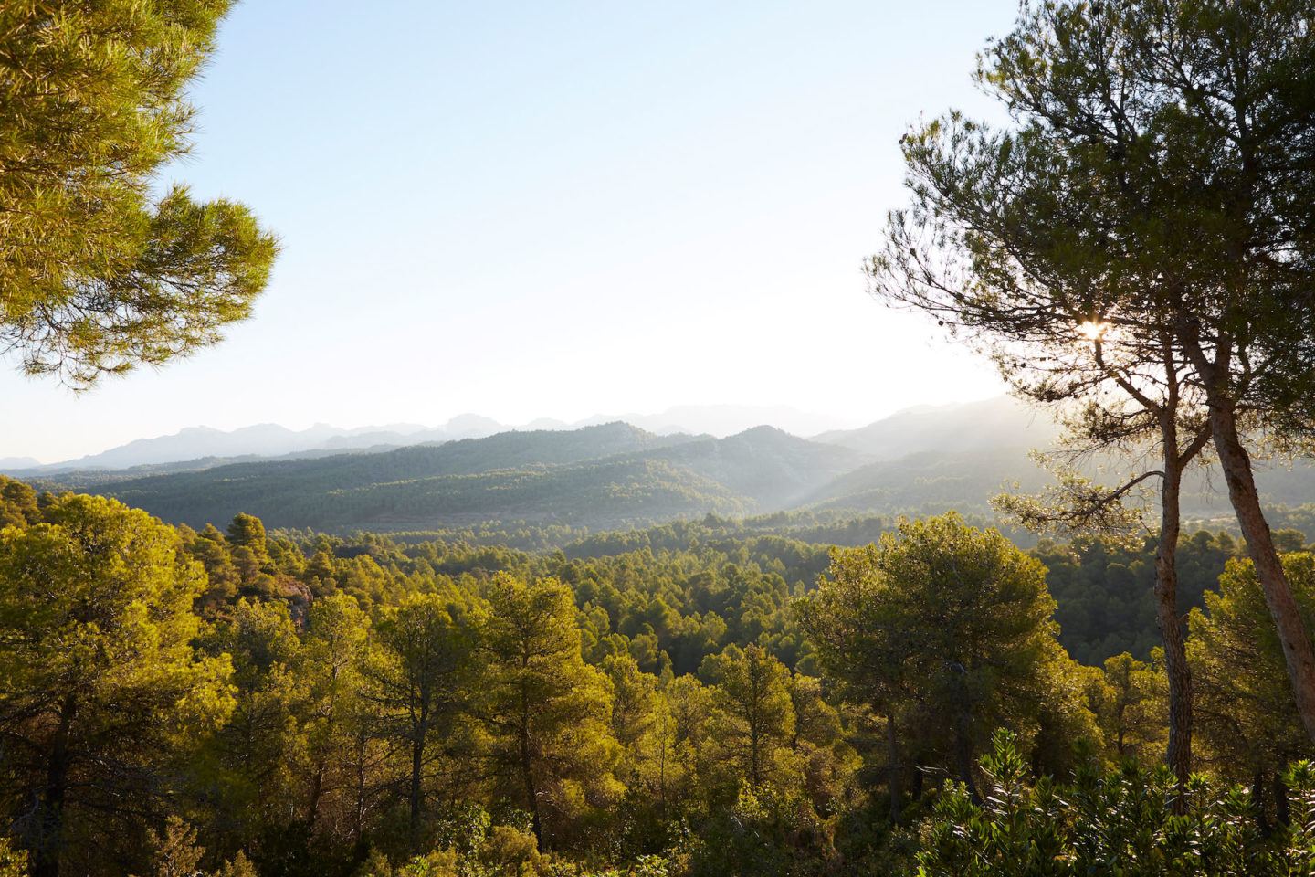 Designer Sabine Marcelis Transforms A Circular Building Into A Giant ...
