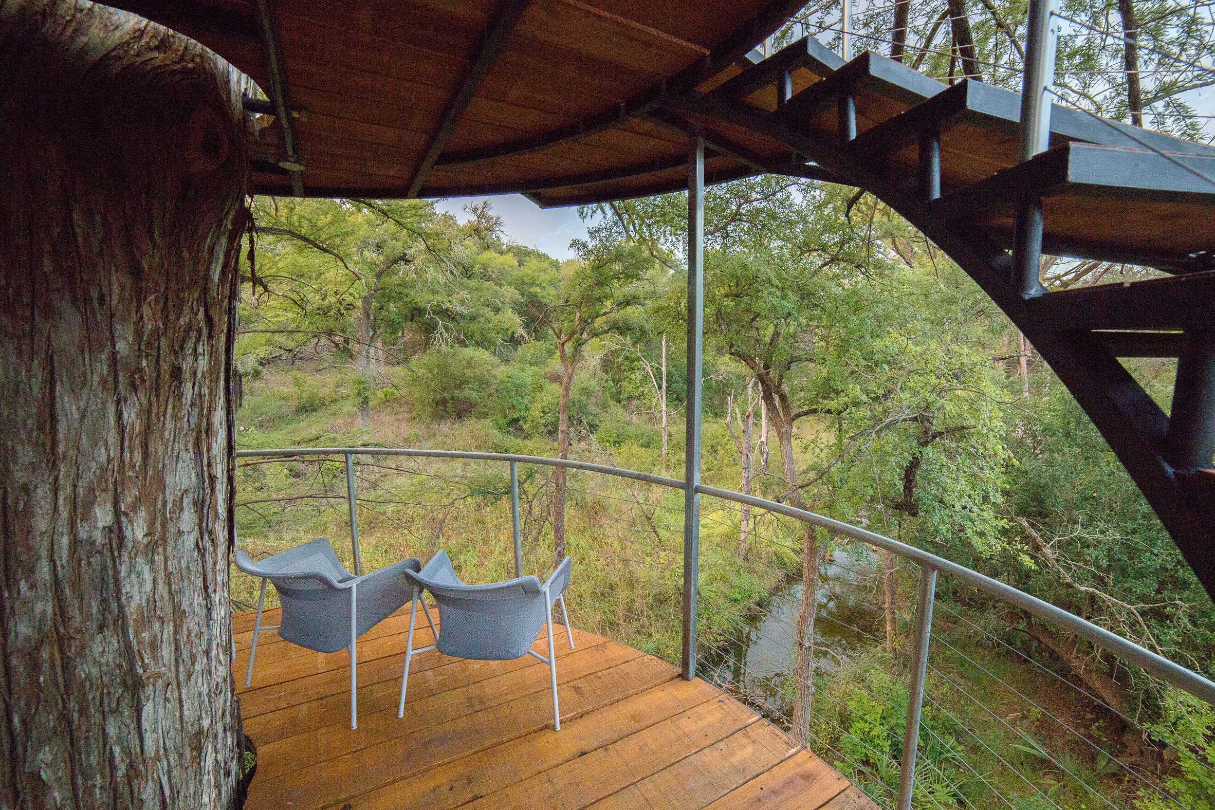 A Canopy Dwelling Named After Rain: The Yoki Tree House - IGNANT