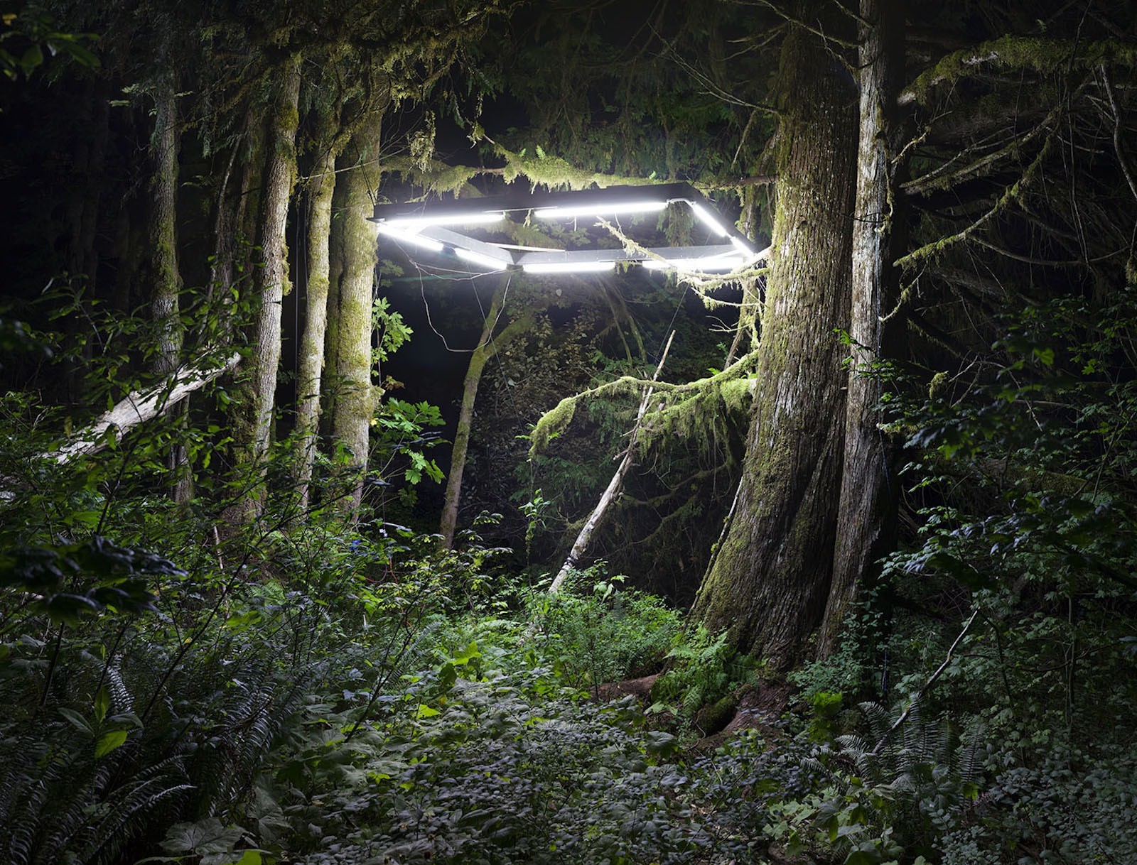 Chris Engman’s Illusory Installations Allow You To Enter Photographs ...