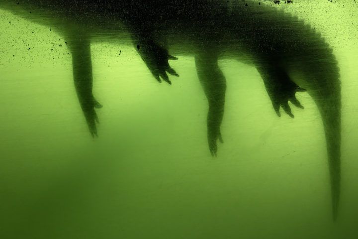 Photographer Edward Honaker Documents His Own Depression | iGNANT.com