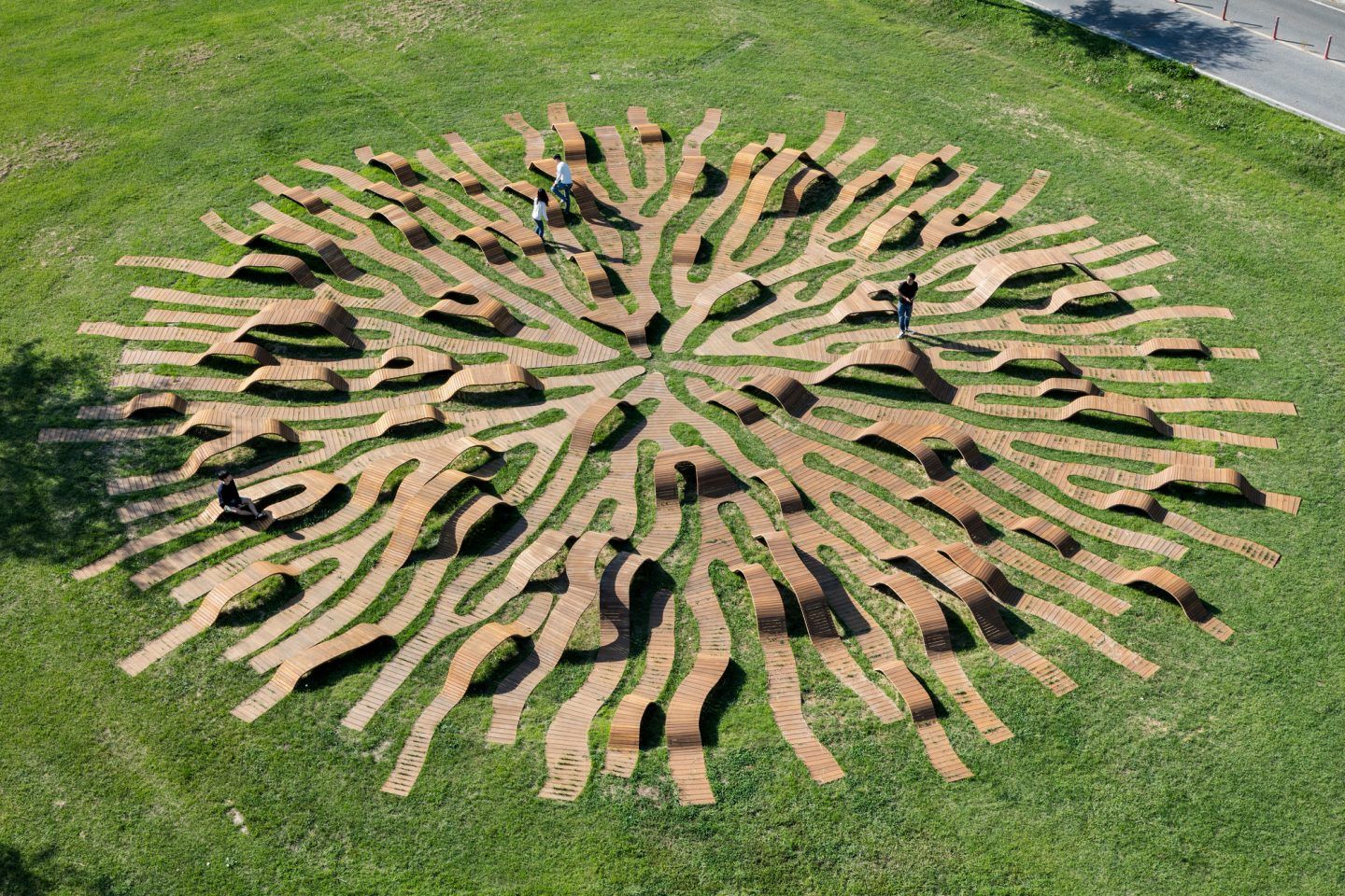 A Large-Scale Installation Of Tree Roots In Seoul’s Hangang Park - IGNANT
