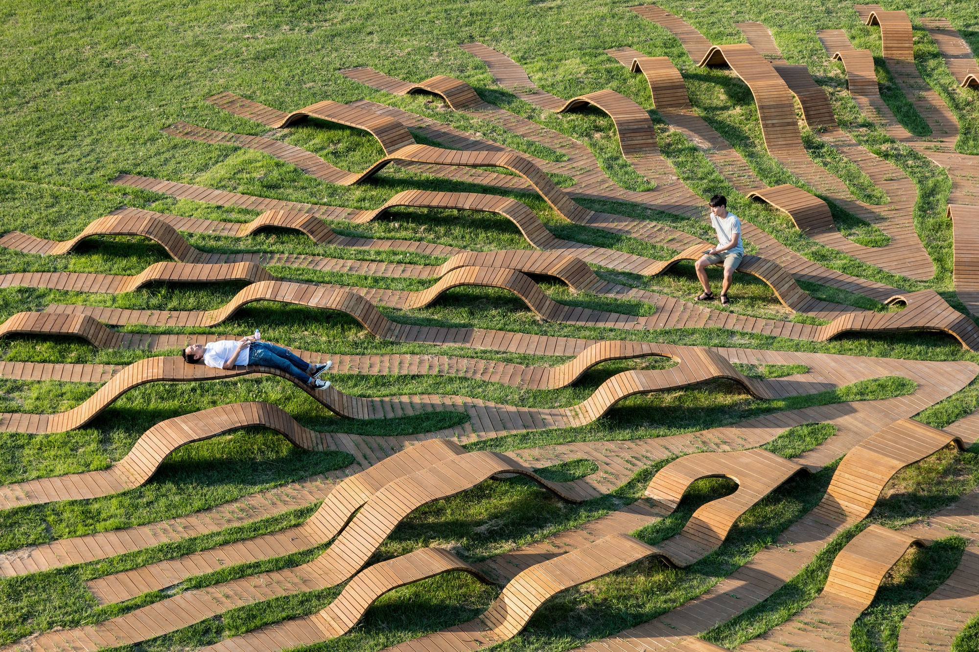 A Large-Scale Installation Of Tree Roots In Seoul’s Hangang Park - IGNANT