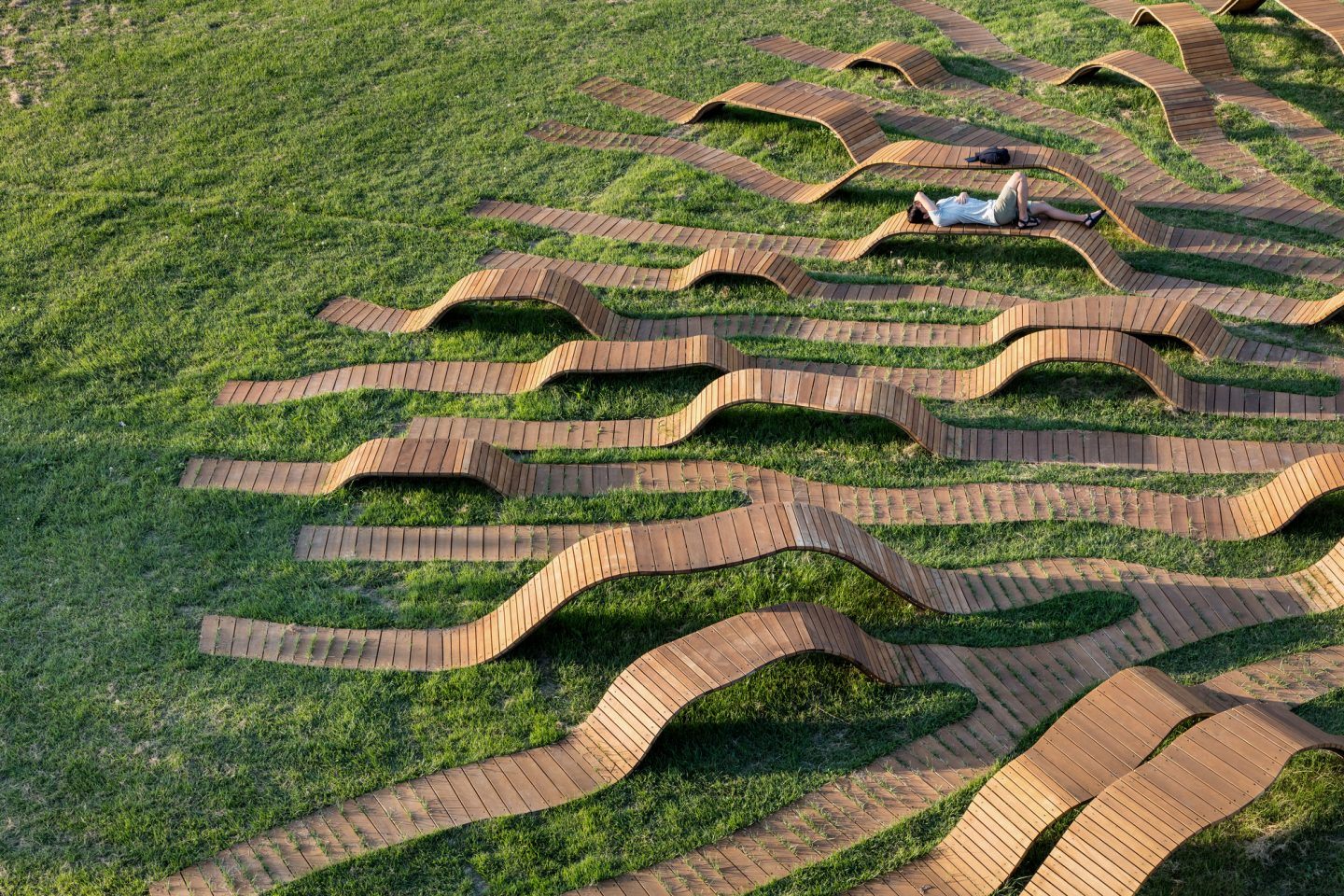 A Large-Scale Installation Of Tree Roots In Seoul’s Hangang Park - IGNANT