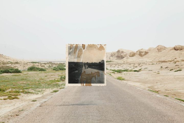 Kelly Maker’s Magical Collages - IGNANT