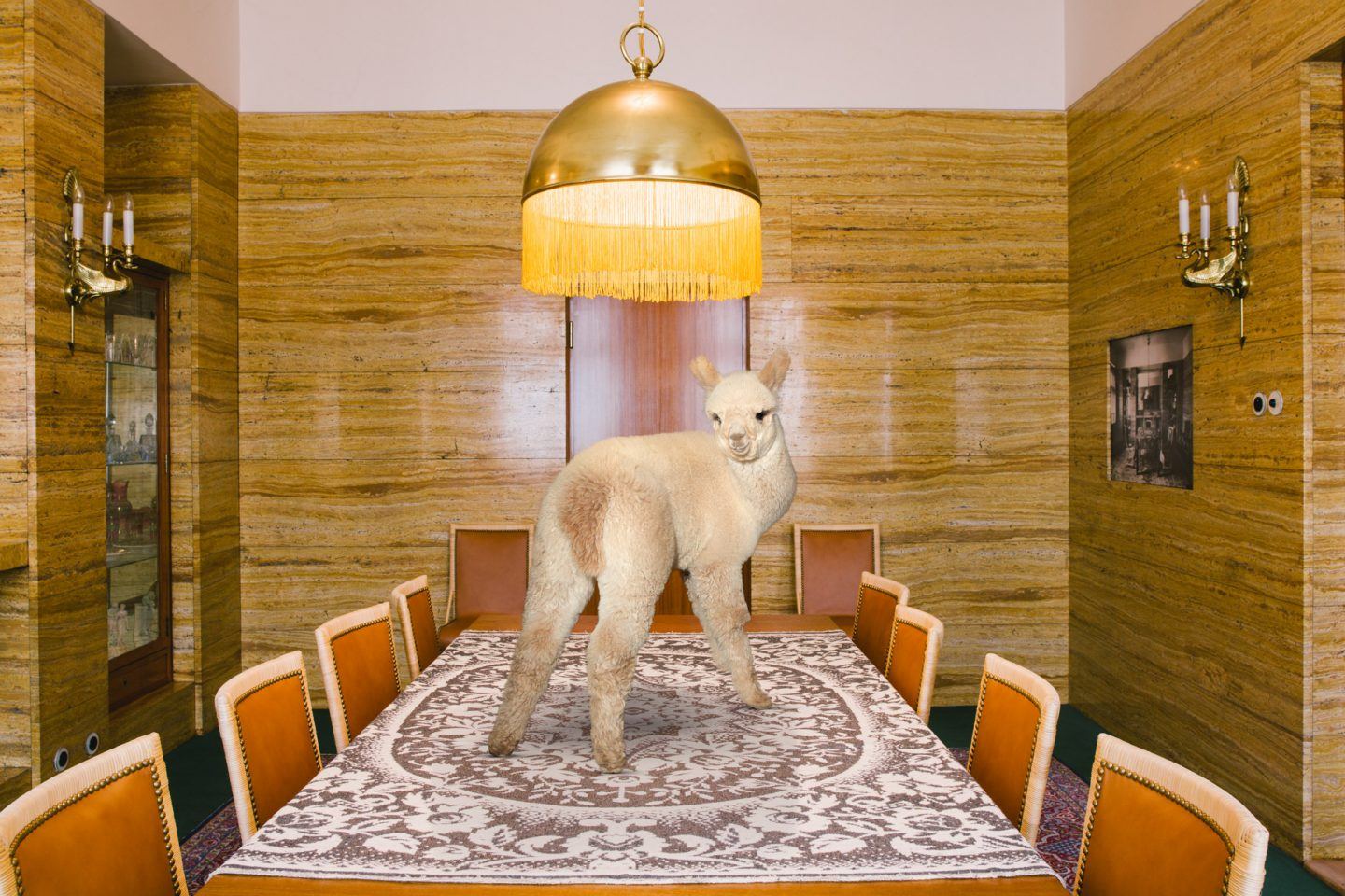 Conceptual Photography by May Xiong - IGNANT