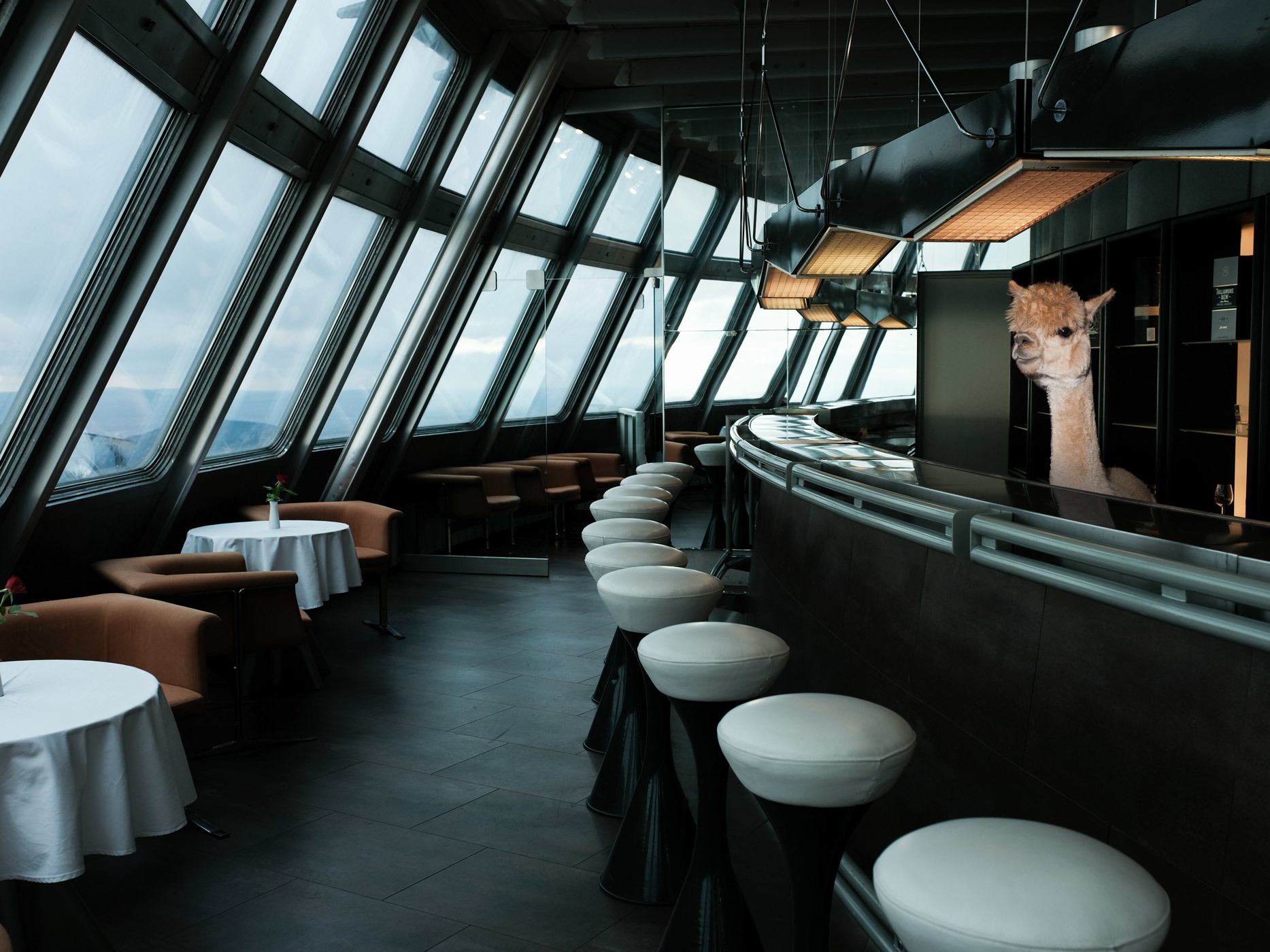 The Unlikely Stars Of Daniel Gebhart De Koekkoek's Calendar 'Better ...