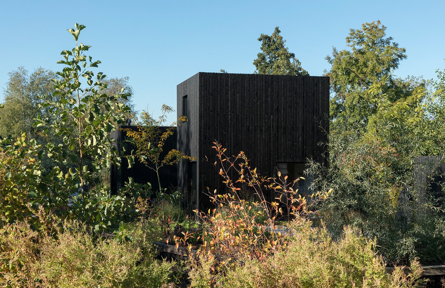 This Tiny Dutch Holiday Home “Leaves A Strong Impression” - IGNANT