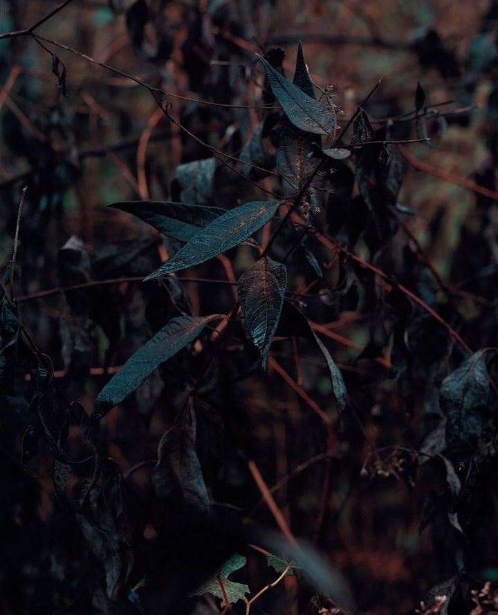 Brendan George Ko’s Record Of Being - IGNANT